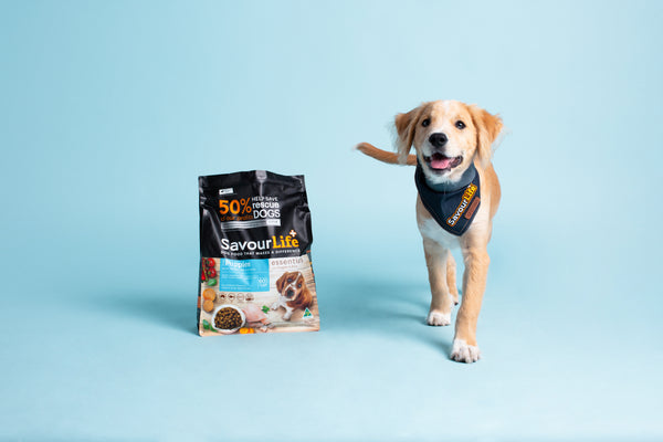 SavourLife - Essentials Chicken Puppy Dry Food (3kg) – Pets Domain