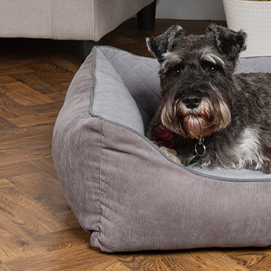 Dog Beds & Bedding for Comfort & Support - Pets Domain