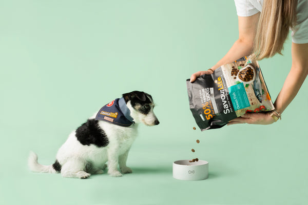 SavourLife - Essentials Ocean Fish Dog Dry Food (15kg) – Pets Domain