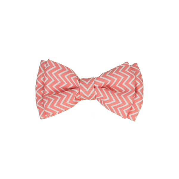 Dan & Sam - Dog Bowtie (Candy Floss) – Pets Domain
