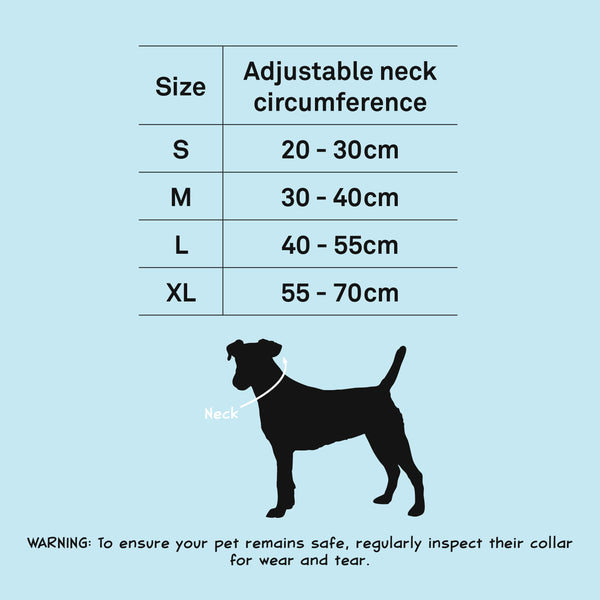 Dan & Sam - Genuine Leather Staffy Collar (Black) – Pets Domain