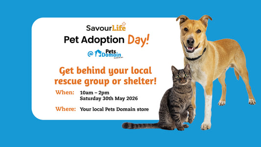 Pet Shop | Pet Supplies Online & In-store – Pets Domain