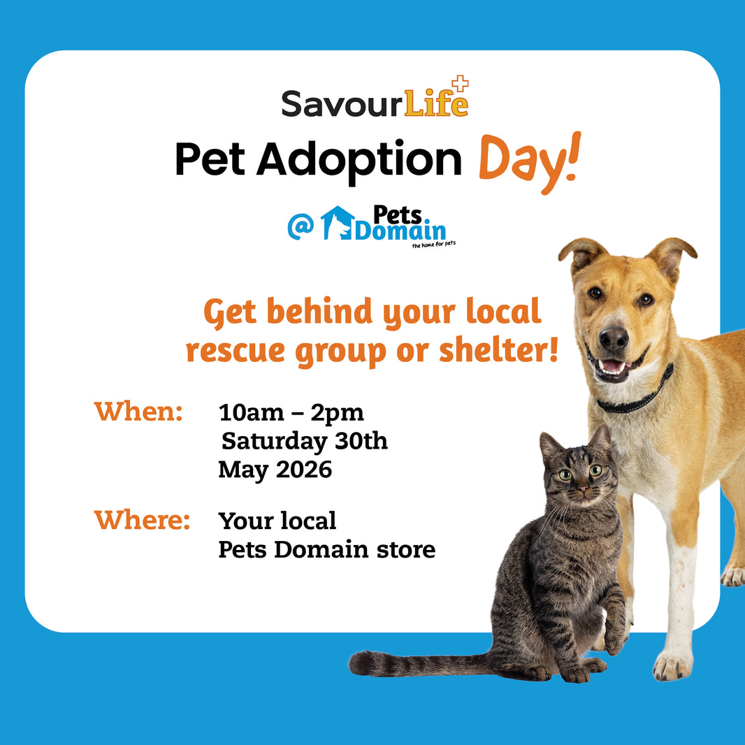 Pet Shop | Pet Supplies Online & In-store – Pets Domain