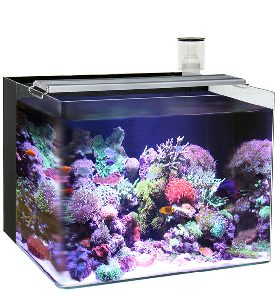 Ocean Free - Nano Marine Aquarium (96L) – Pets Domain