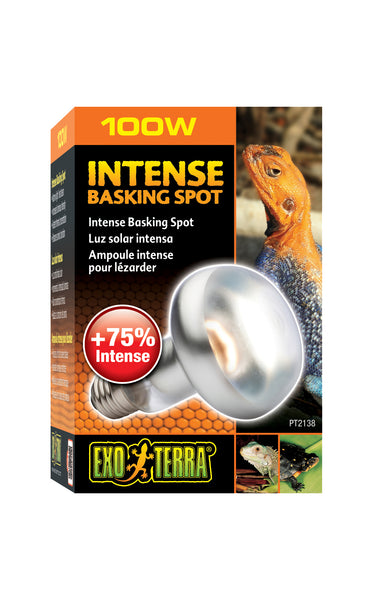 Exo Terra - Sun Glo Basking Spot Lamp (100w) – Pets Domain