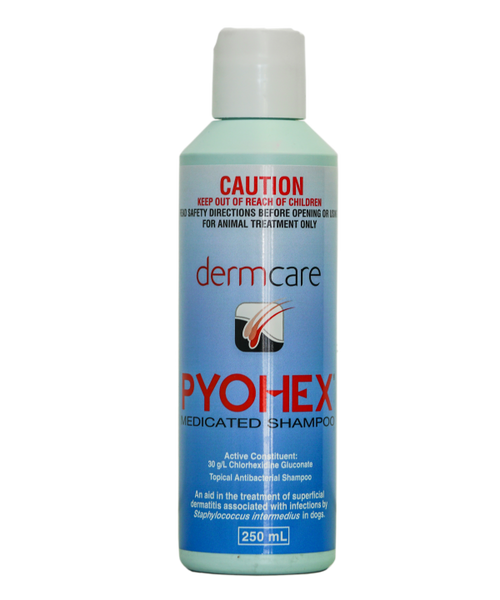 Dermcare - Pyohex Shampoo (250ml) – Pets Domain
